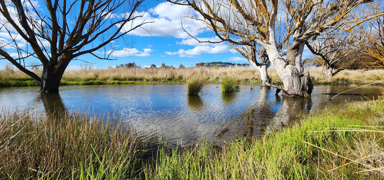 1084 Springrange Road SPRINGRANGE, NSW 2618 is for Sale on Zango | Zango