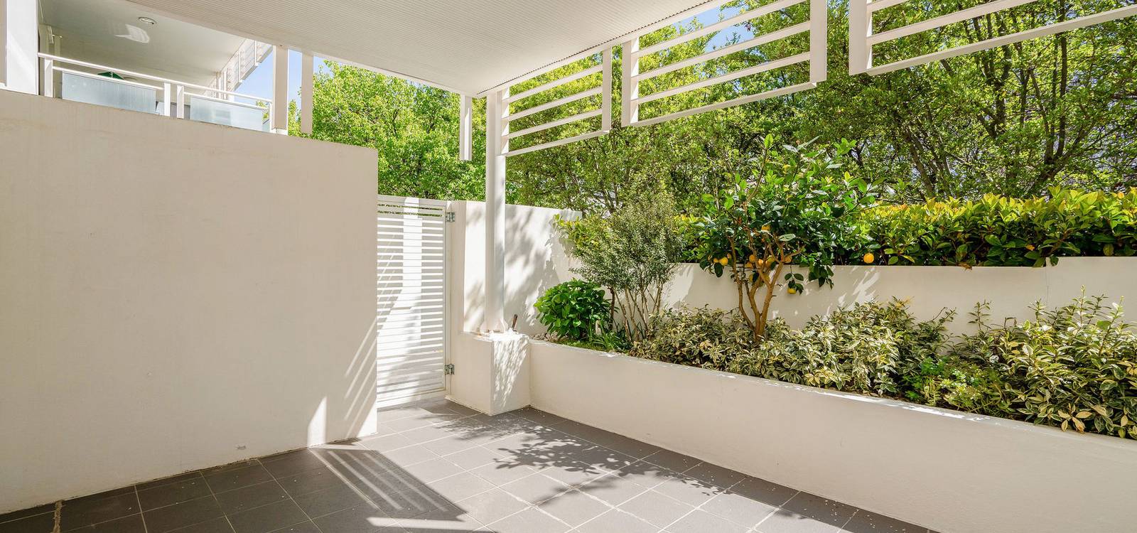 46/53 Dawes Street KINGSTON, ACT 2604 is for Sale on Zango | Zango