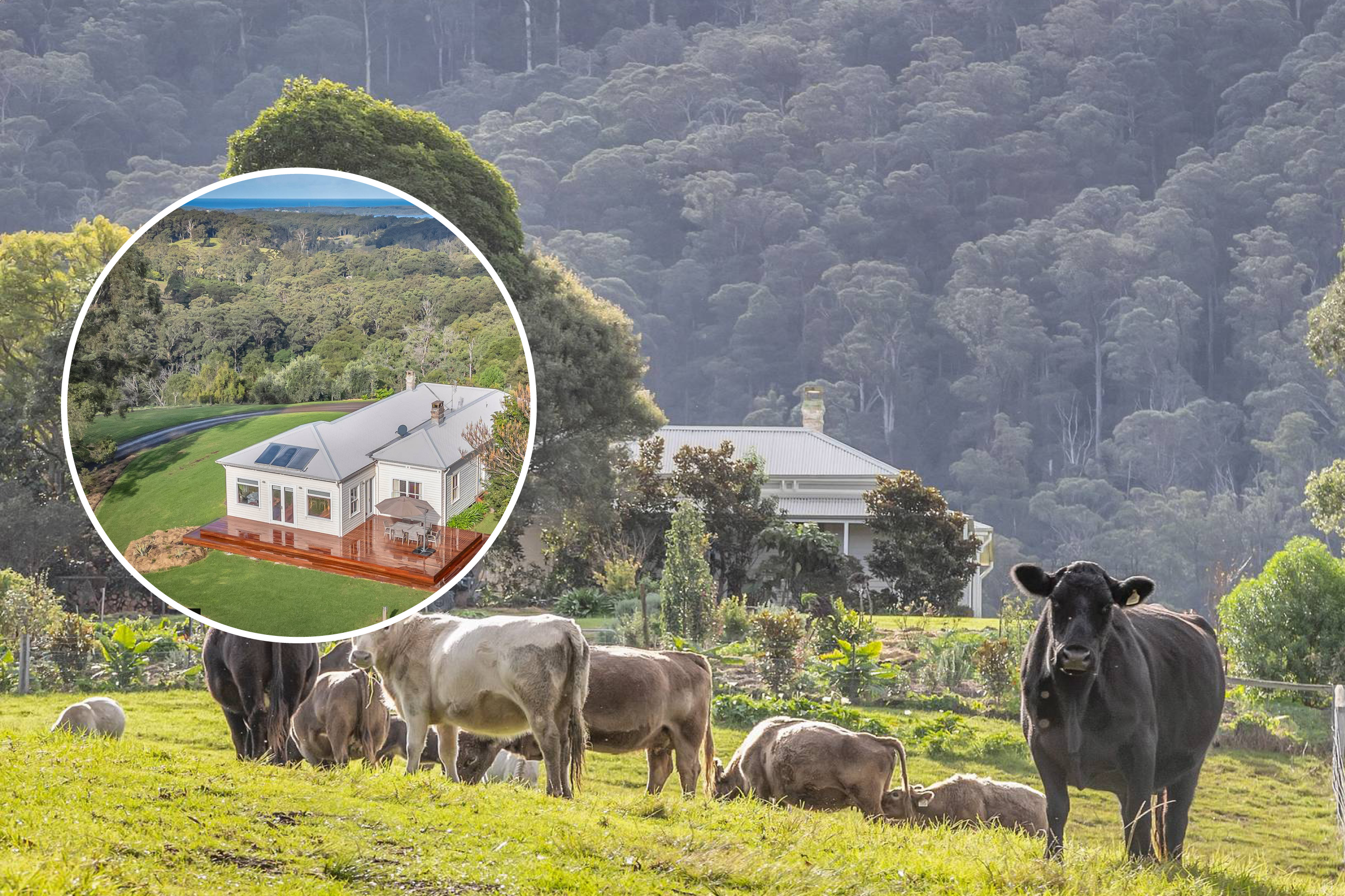 44 Shackleton Street Shoalhaven Heads, NSW 2535 - Off Market | Zango